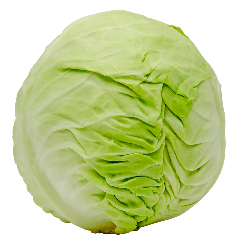 Green Cabbage - Lakeside Organic Gardens Green Cabbage - Lakeside Organic Gardens