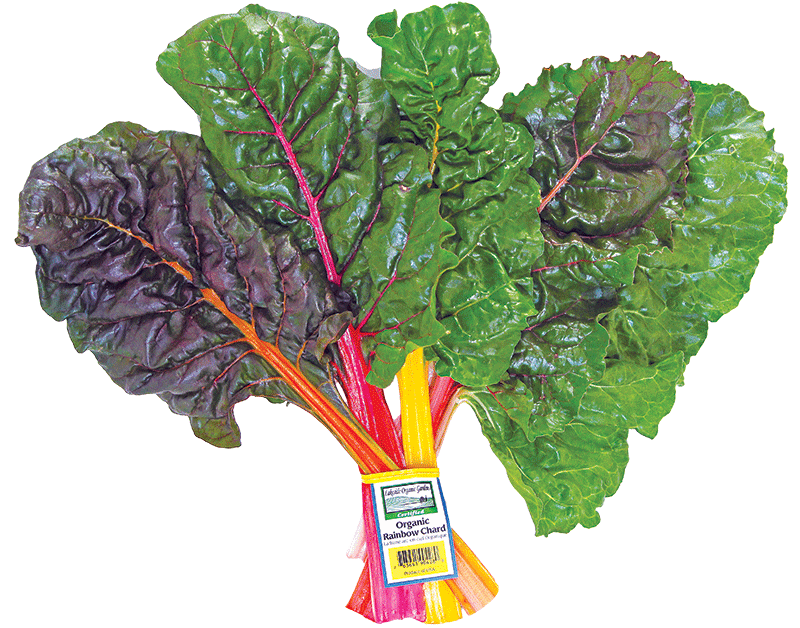Rainbow Chard - Lakeside Organic Gardens