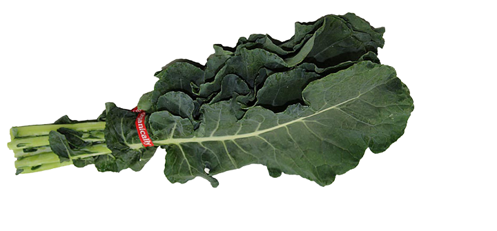 Broccoli Leaf - Lakeside Organic Gardens